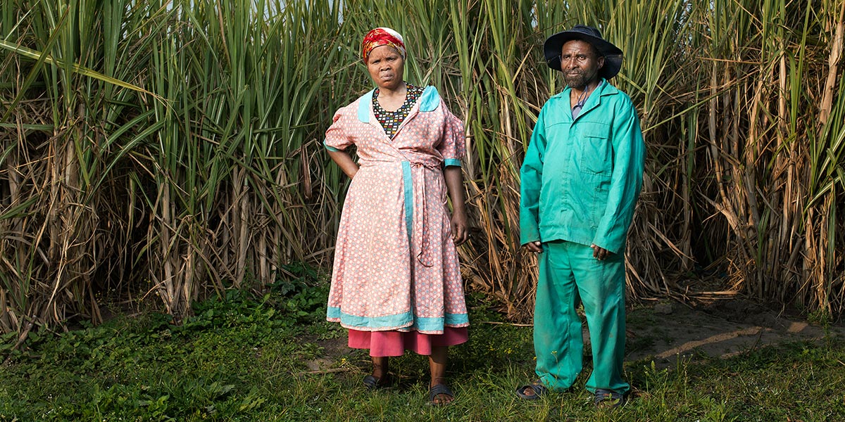 Sonke Gender Justice • THINKTEAM